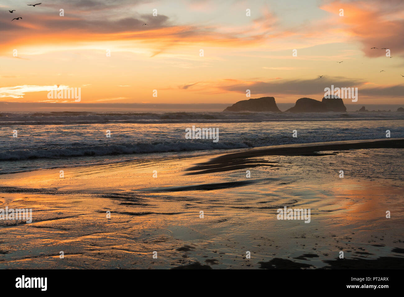 Pacific Coast, Cannon Beach, Sunset Stock Photo - Alamy