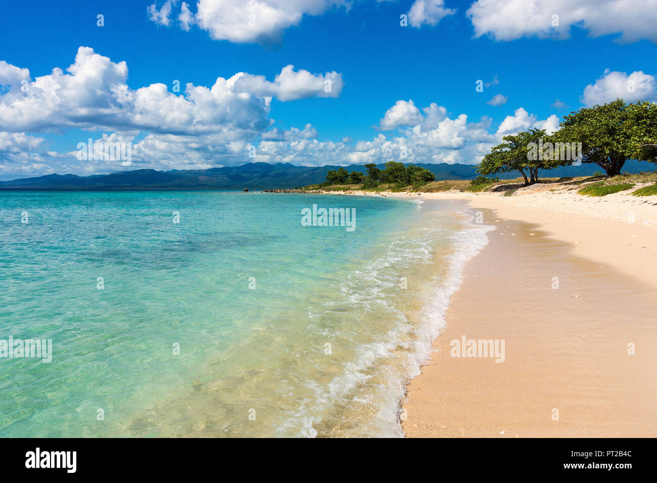 Trinidad state beach hi-res stock photography and images - Alamy