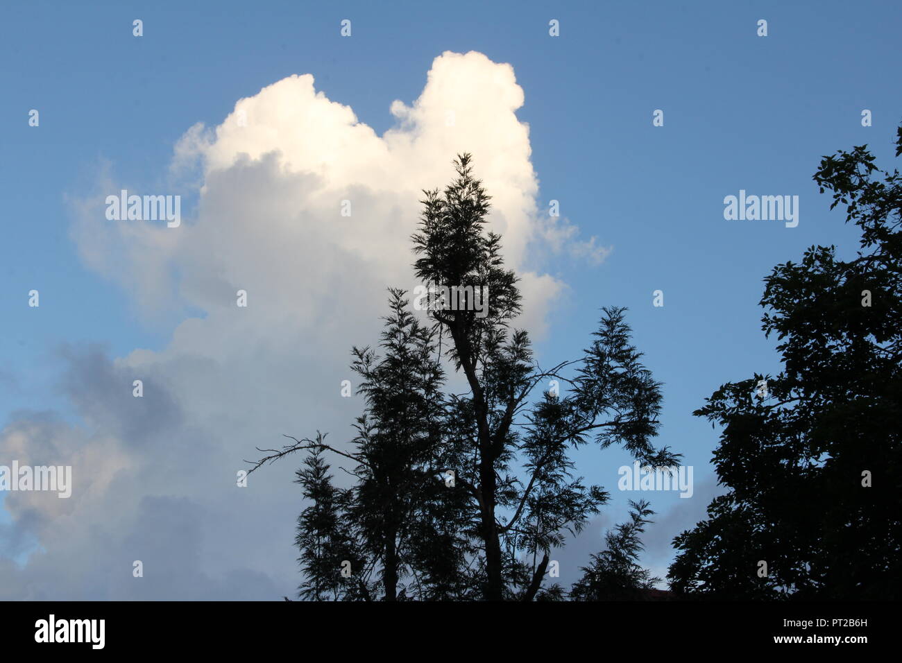 Cloud cloudy weather vertical hi-res stock photography and images - Alamy