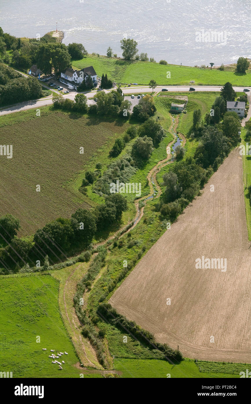 Brook renaturation hi-res stock photography and images - Alamy