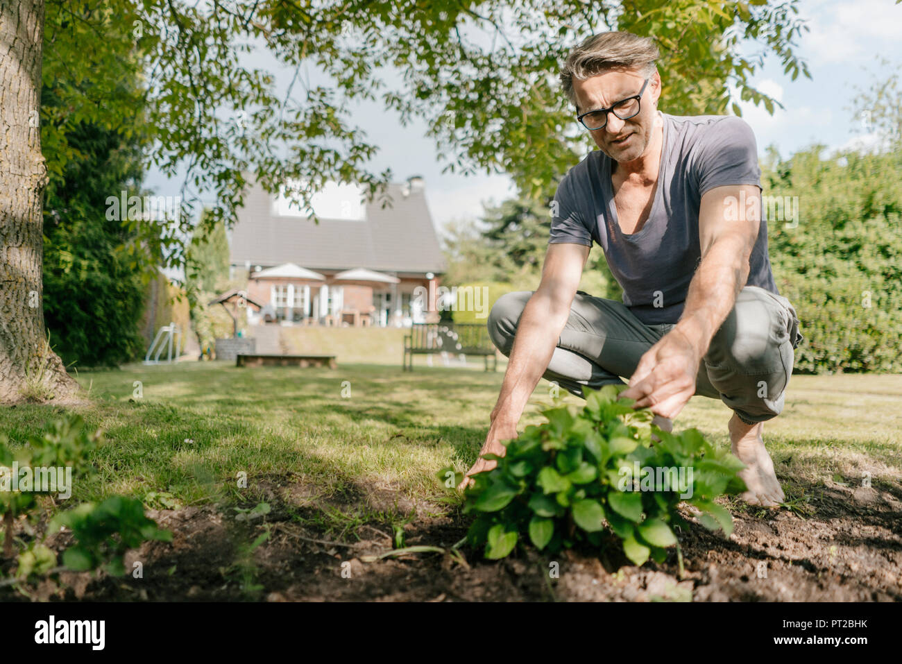 Man gardening hi-res stock photography and images - Alamy