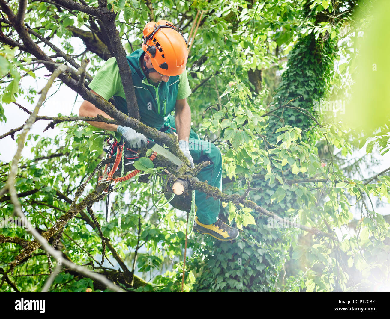 Timber cutter hi-res stock photography and images - Alamy