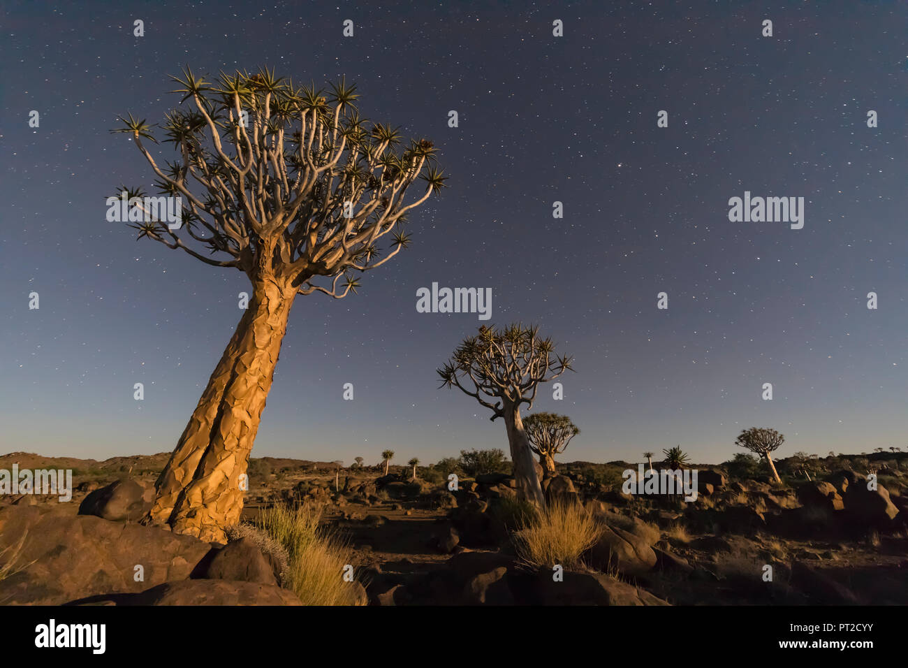 Namibia night sky hi-res stock photography and images - Alamy