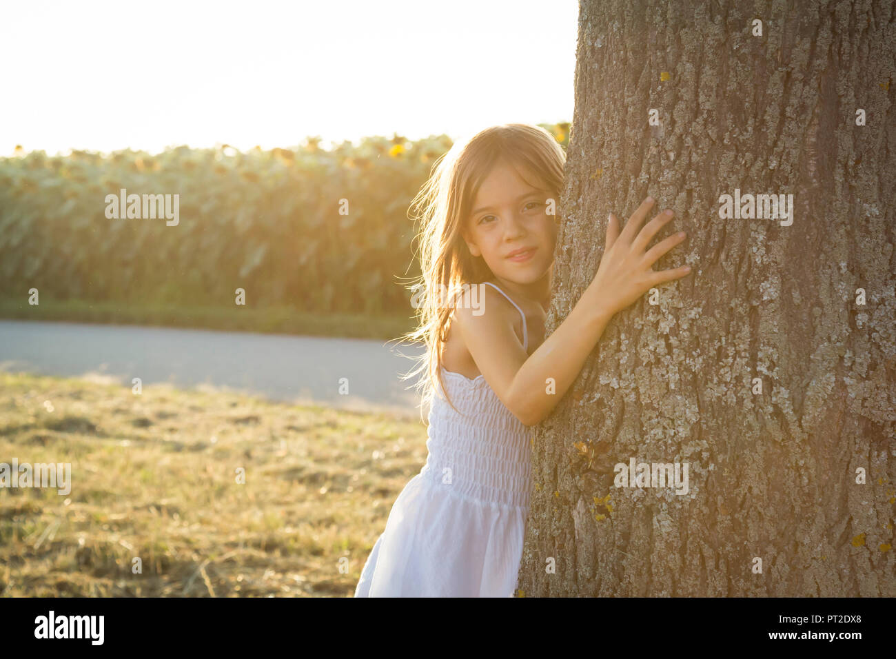 Girl leaning on tree trunk at summer evening Stock Photo - Alamy