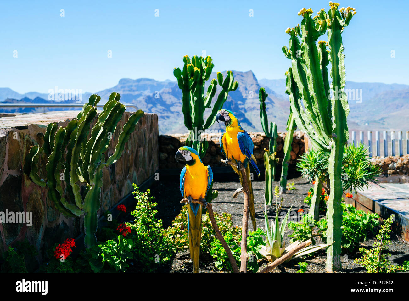 áras hi-res stock photography and images - Alamy