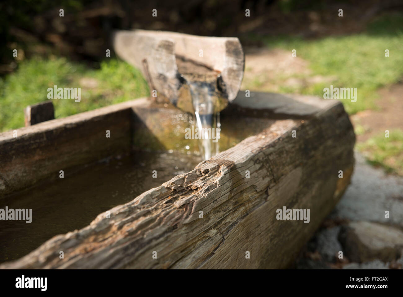 Flowing water, well on an alpine pasture Stock Photo - Alamy