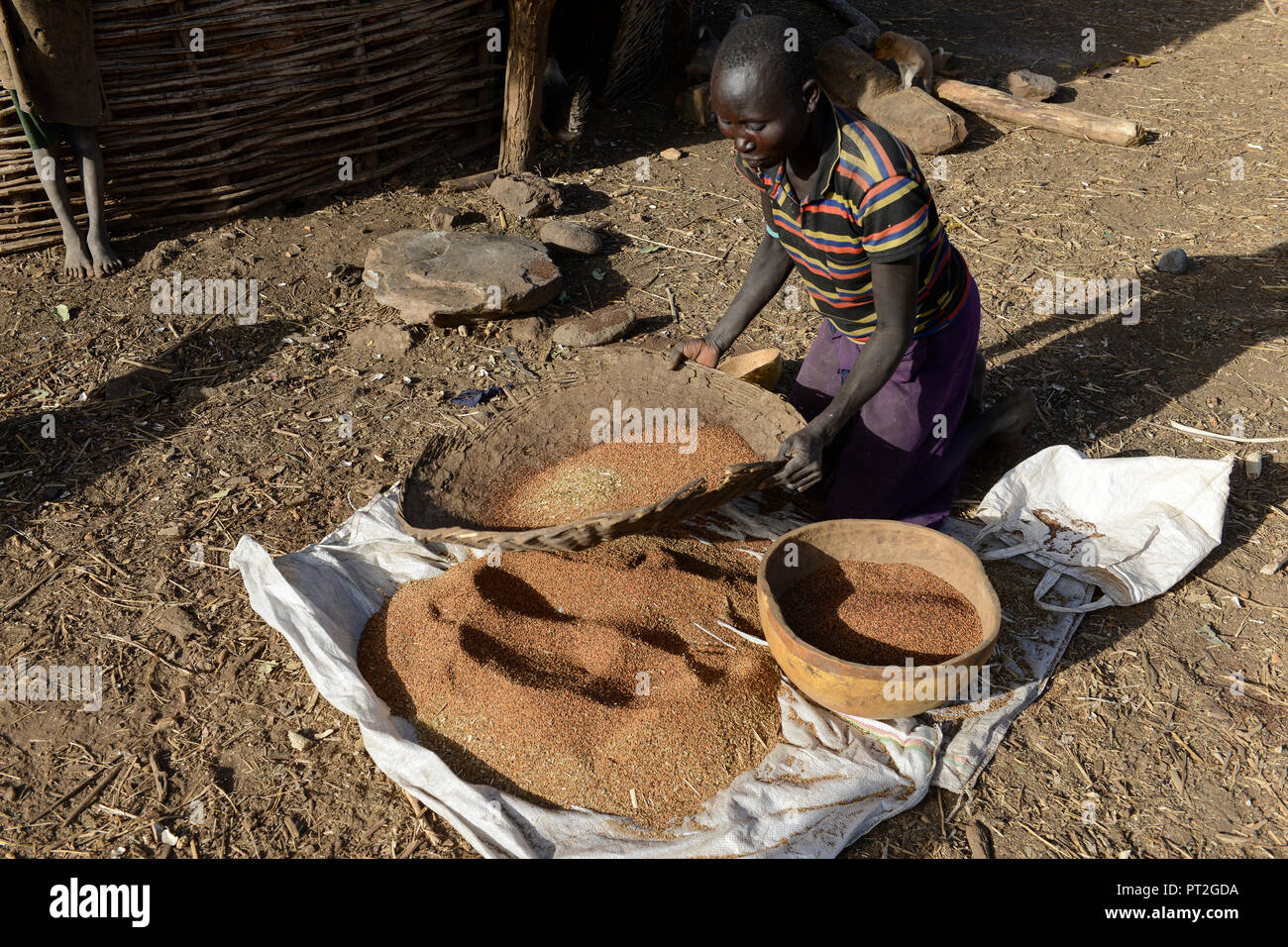 African woman winnowing millet hi-res stock photography and images - Alamy