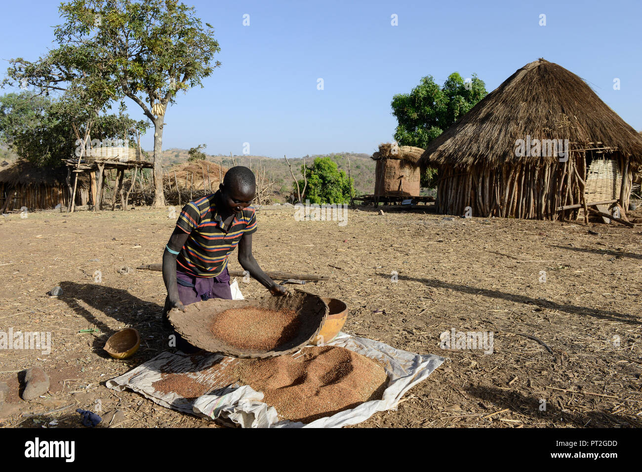 African woman winnowing millet hi-res stock photography and images - Alamy