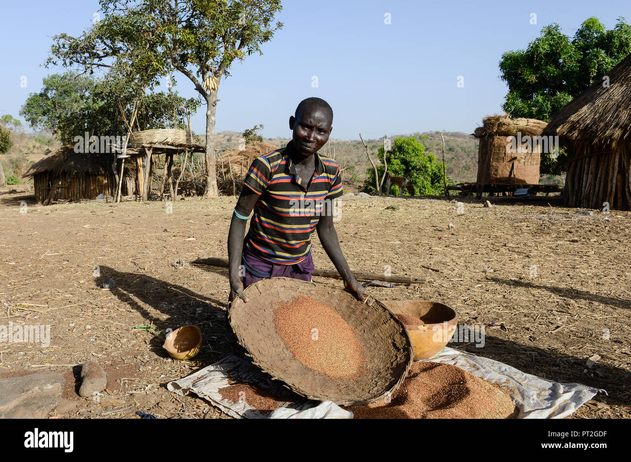 African woman winnowing millet hi-res stock photography and images - Alamy
