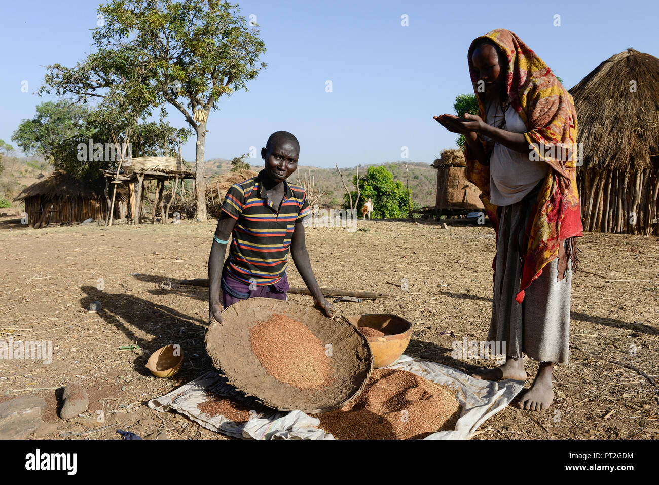 ETHIOPIA Province Benishangul-Gumuz, town Debate, Gumuz village Banush ...