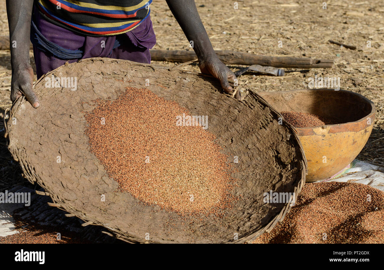 African woman winnowing millet hi-res stock photography and images - Alamy