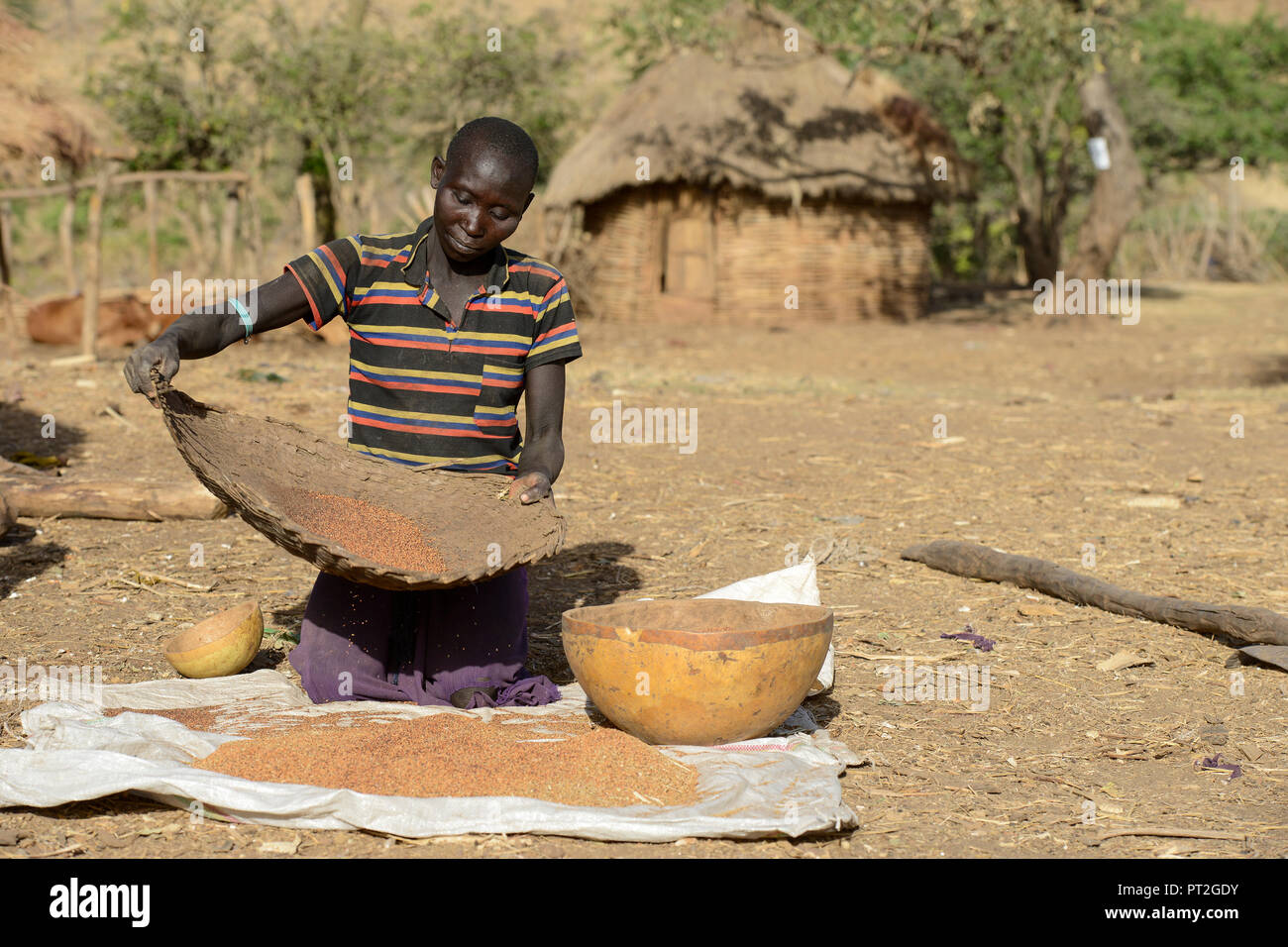 African woman winnowing millet hi-res stock photography and images - Alamy