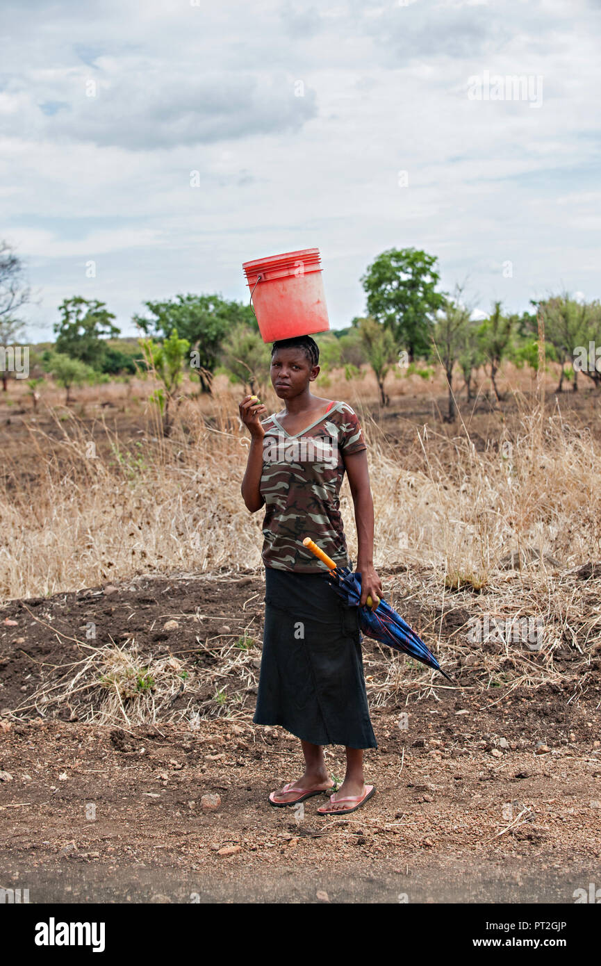 Local woman from Mukuni Village carrying red buckets on her head whilst ...