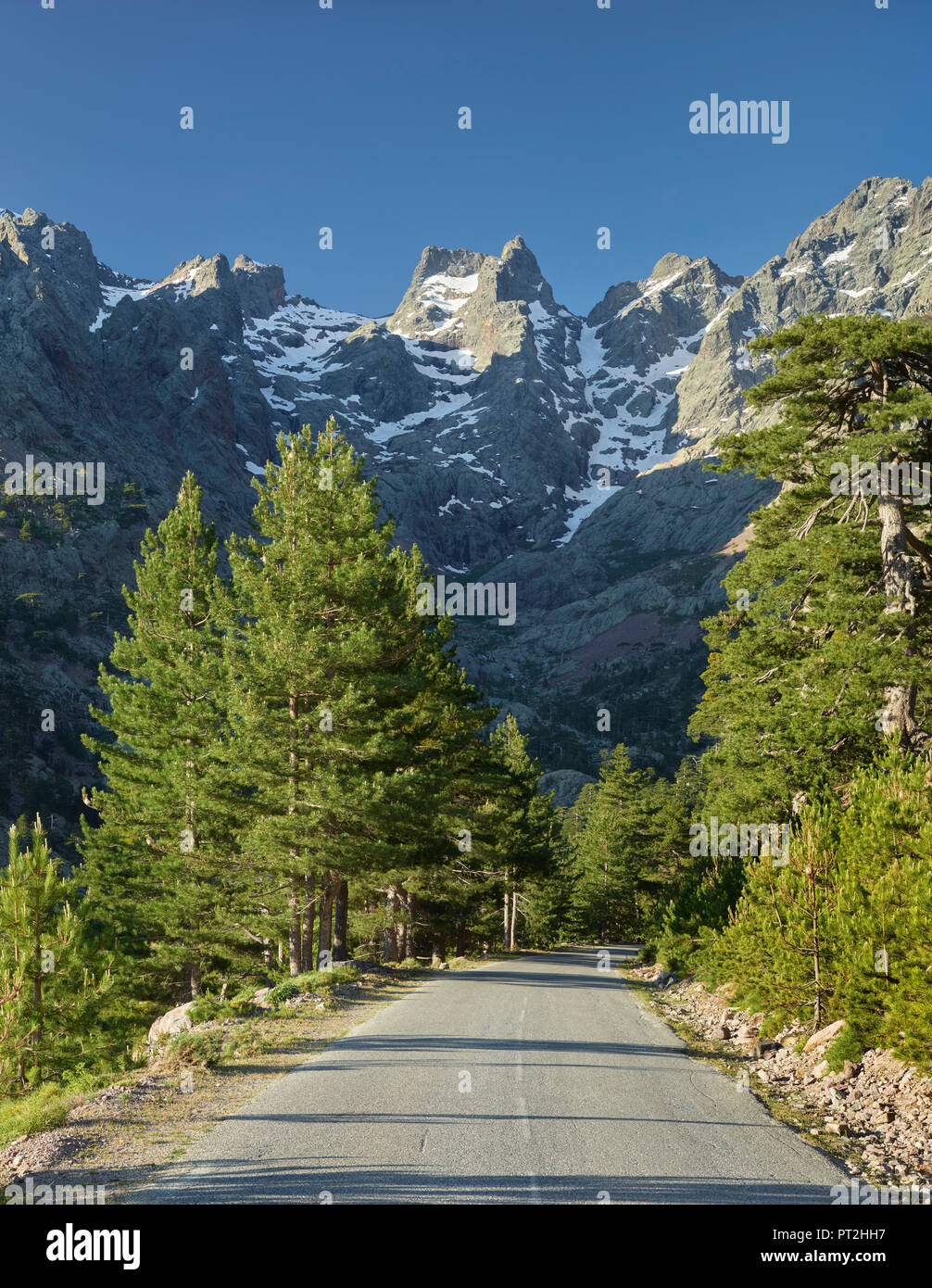 Monte Cinto, Haut Asco, Haute Corse, Corsica, France Stock Photo - Alamy