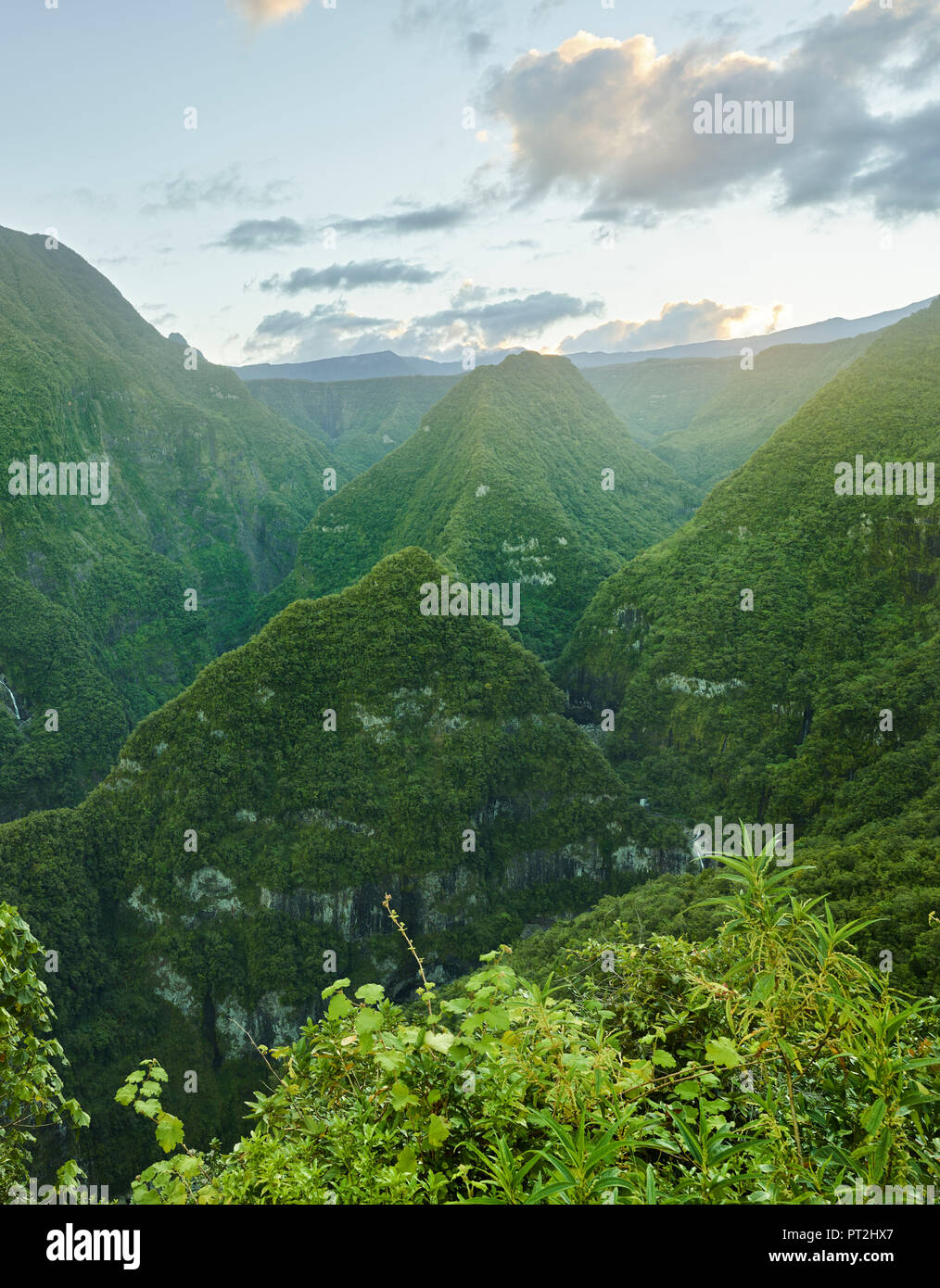View in the Cirque de Takamaka, Reunion, France Stock Photo - Alamy