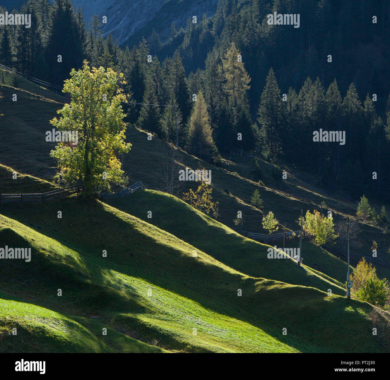 Rural farming hi-res stock photography and images - Alamy