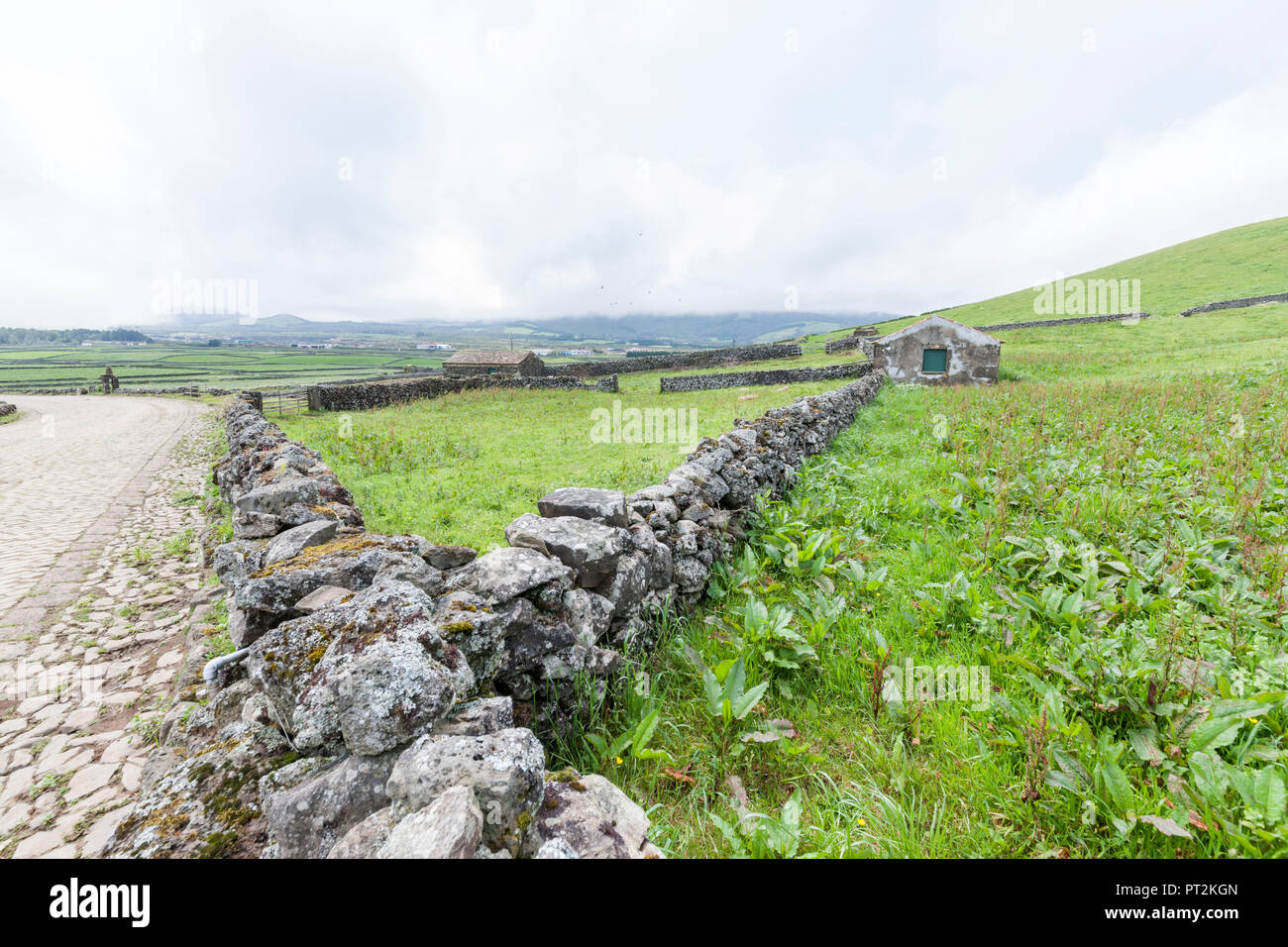 green pastures with volcanic stone wall and stables on Terceira Stock ...