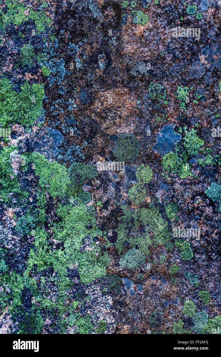 Lichens rocks hi-res stock photography and images - Alamy