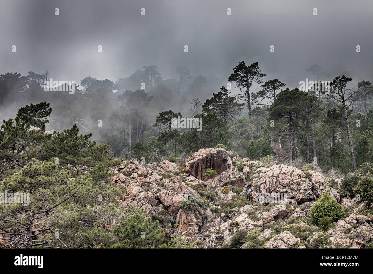 Bizarre landscape hi-res stock photography and images - Alamy