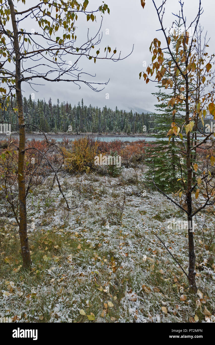 Canadian tundra landscape hi-res stock photography and images - Alamy