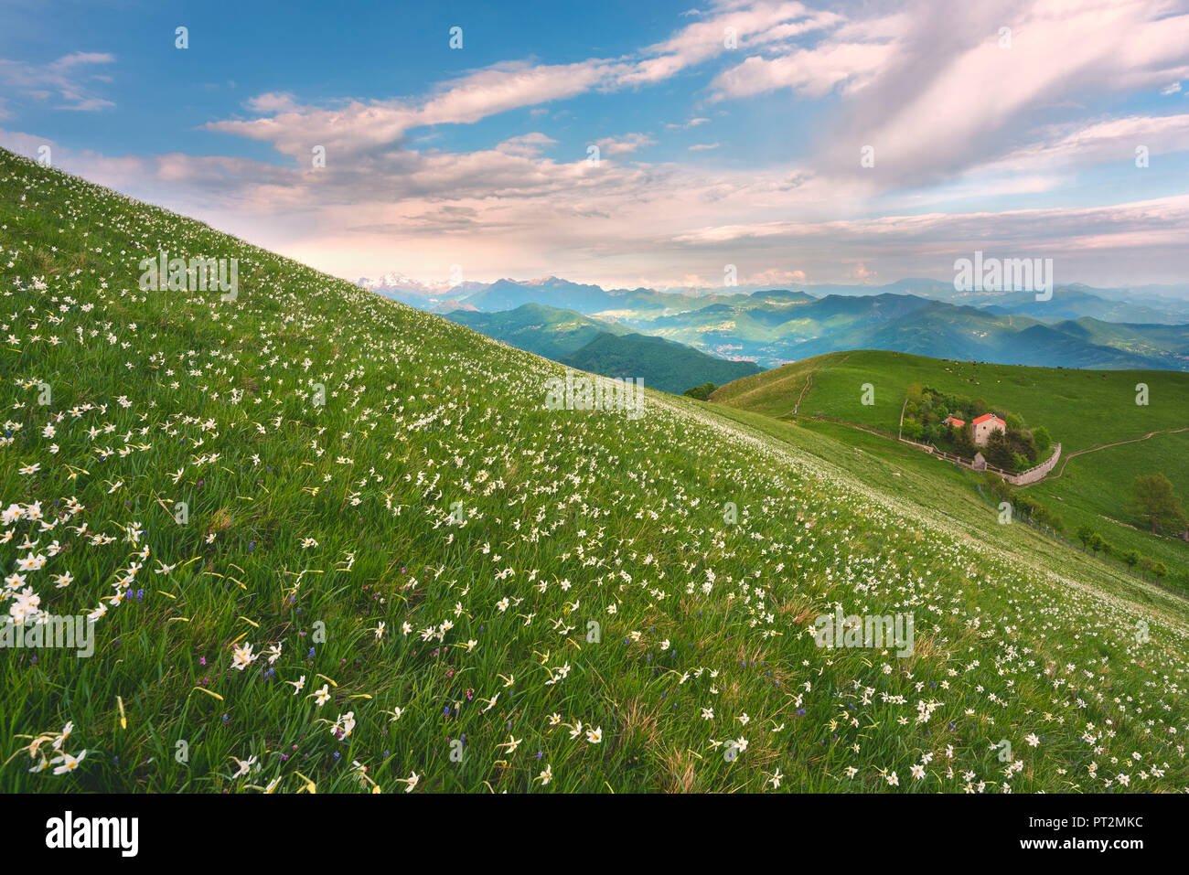 Mount Linzone, Orobie alps, Lombardy district, Bergamo province, Italy ...