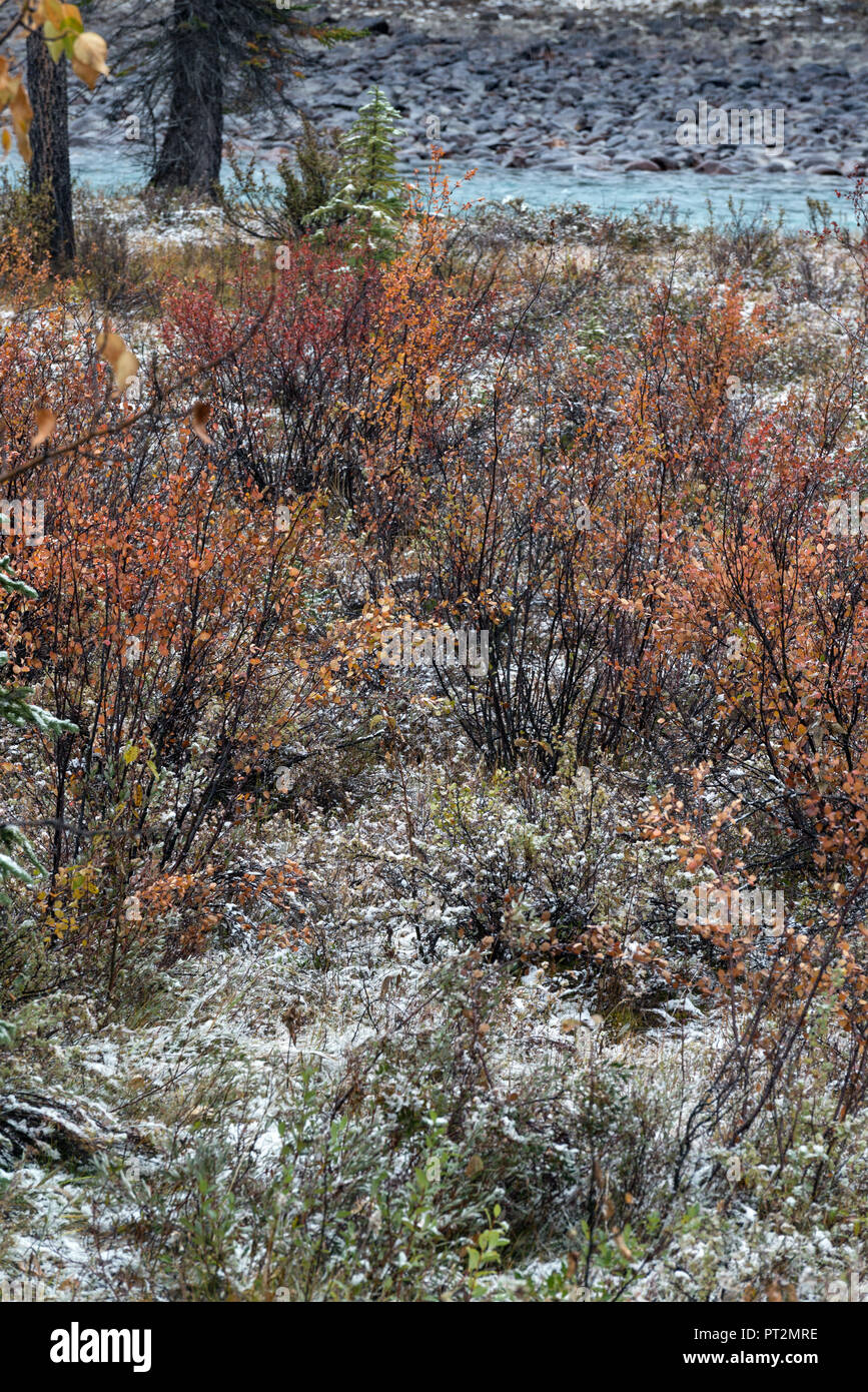 Tundra landscape canada hi-res stock photography and images - Alamy