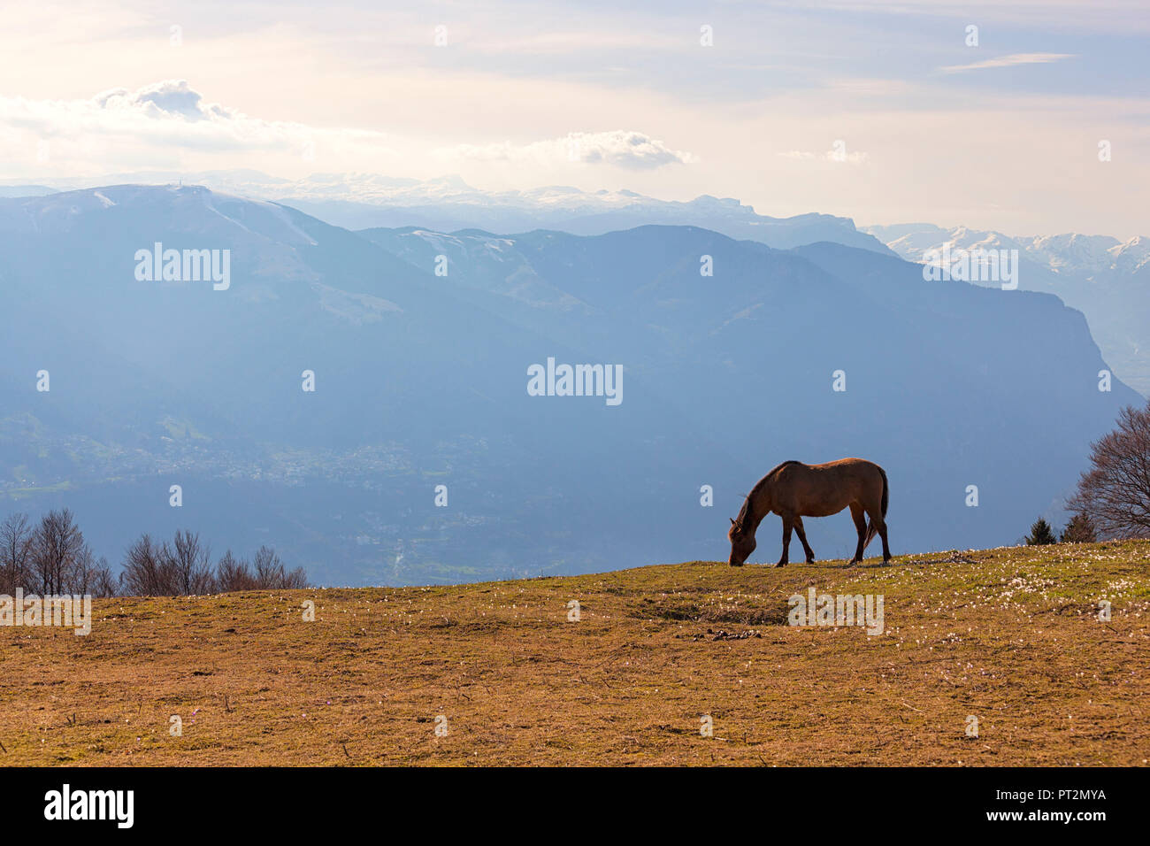 Altopiano dei sette comuni hi-res stock photography and images - Alamy