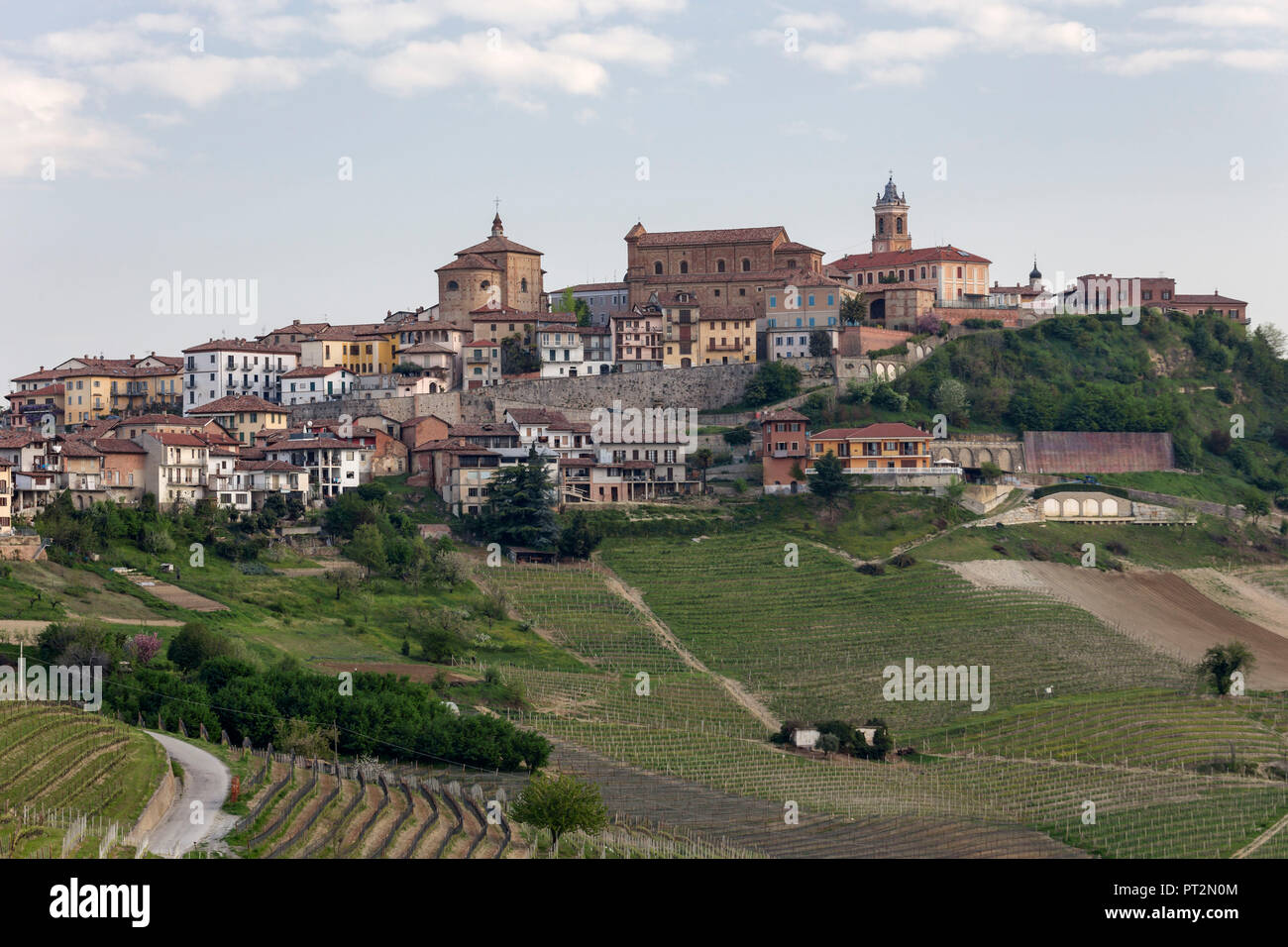 Langhe, Cuneo district, Piedmont, Italy, Langhe wine region spring, La ...