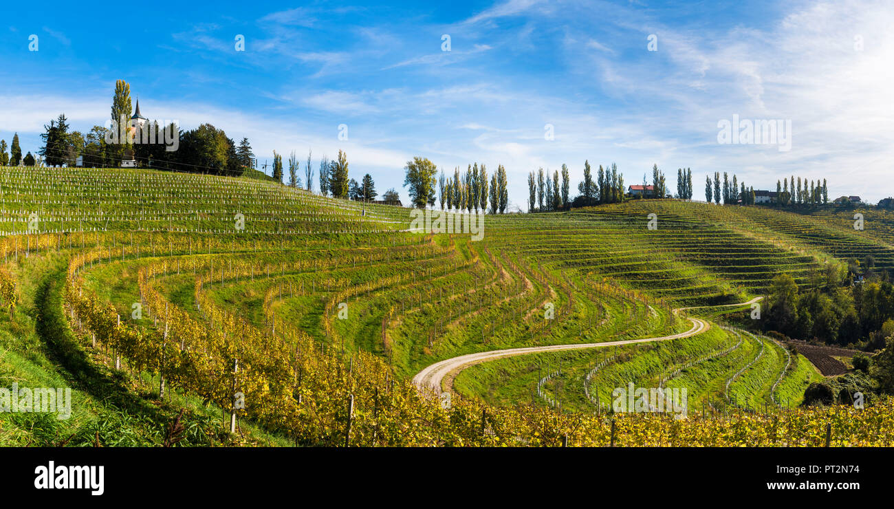 Ljutomer wine road hi-res stock photography and images - Alamy
