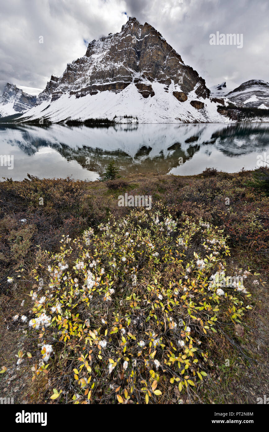 Waterscape vertical hi-res stock photography and images - Alamy