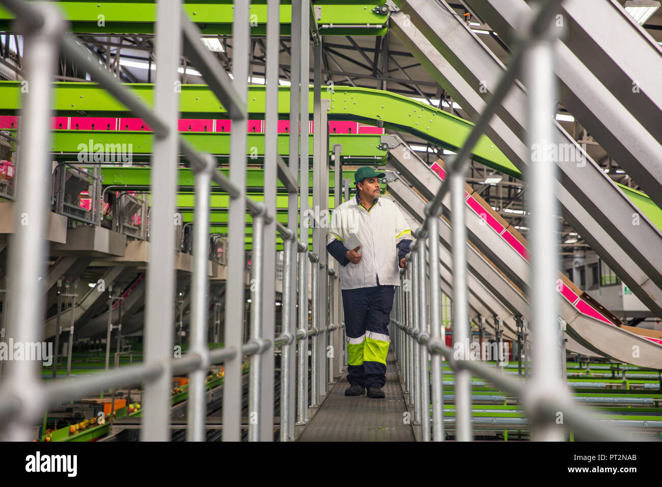 Worker walking through apple factory Stock Photo - Alamy