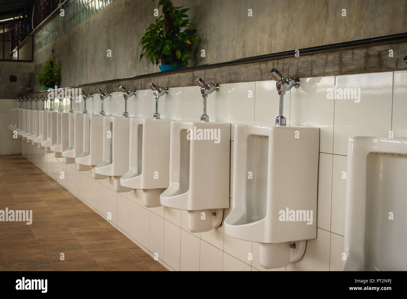 White clean ceramic urinal bowls in the public men's toilet. Row of ...