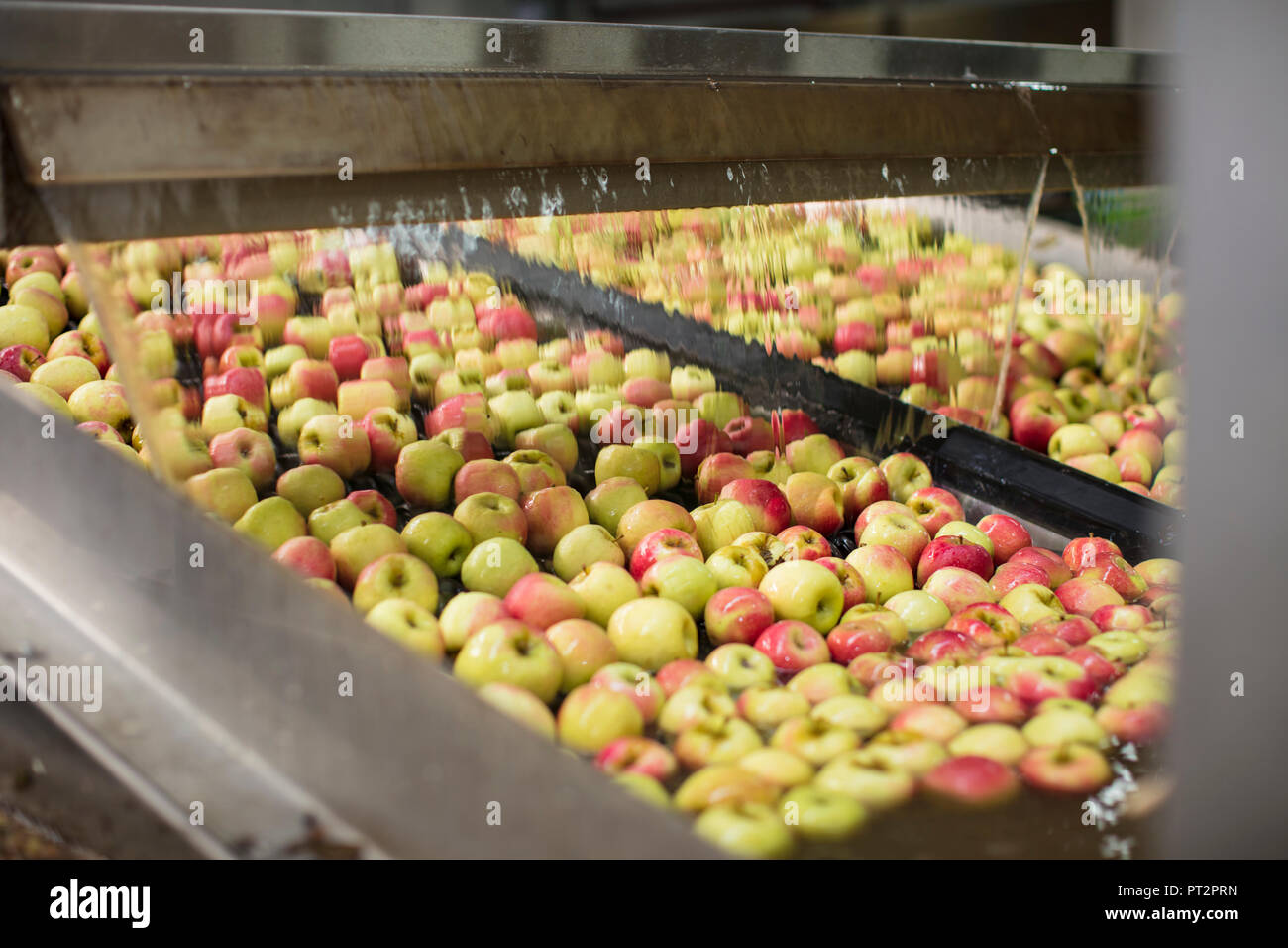 Apples being cleaned machine hi-res stock photography and images - Alamy