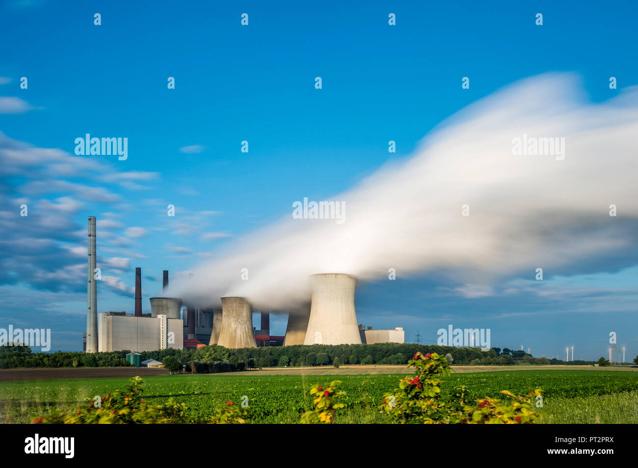Neurath power station hi-res stock photography and images - Alamy