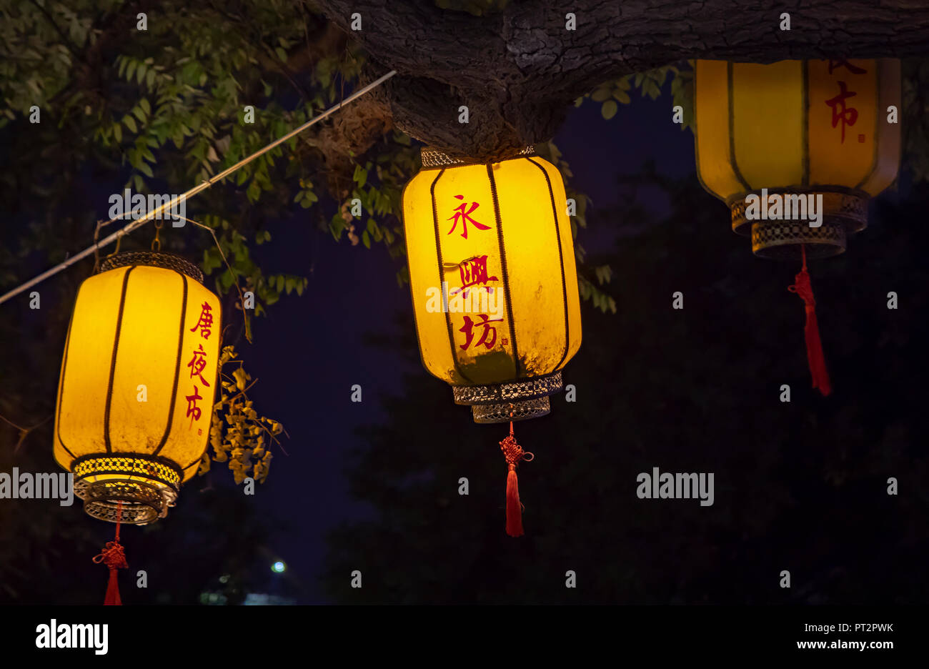 Lanterns At Night In Trees