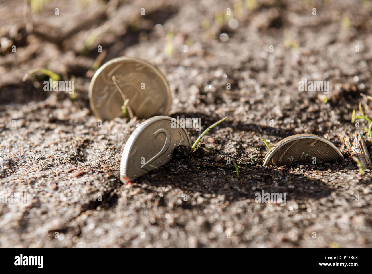 Coins in the ground Stock Photo - Alamy