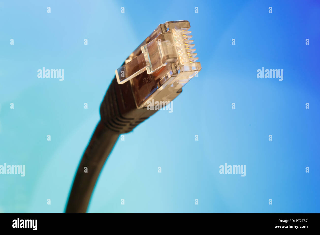 Black network hi-res stock photography and images - Alamy