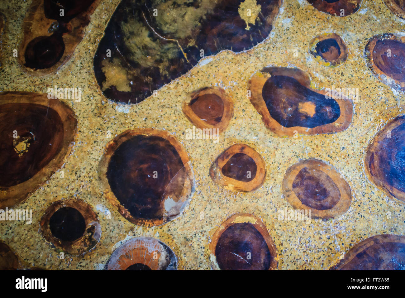 Round wood logs embed on screed floor background. Smooth cross section ...