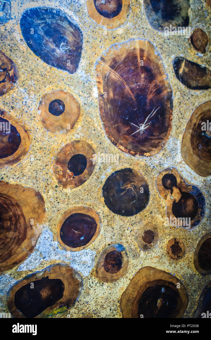 Round wood logs embed on screed floor background. Smooth cross section ...