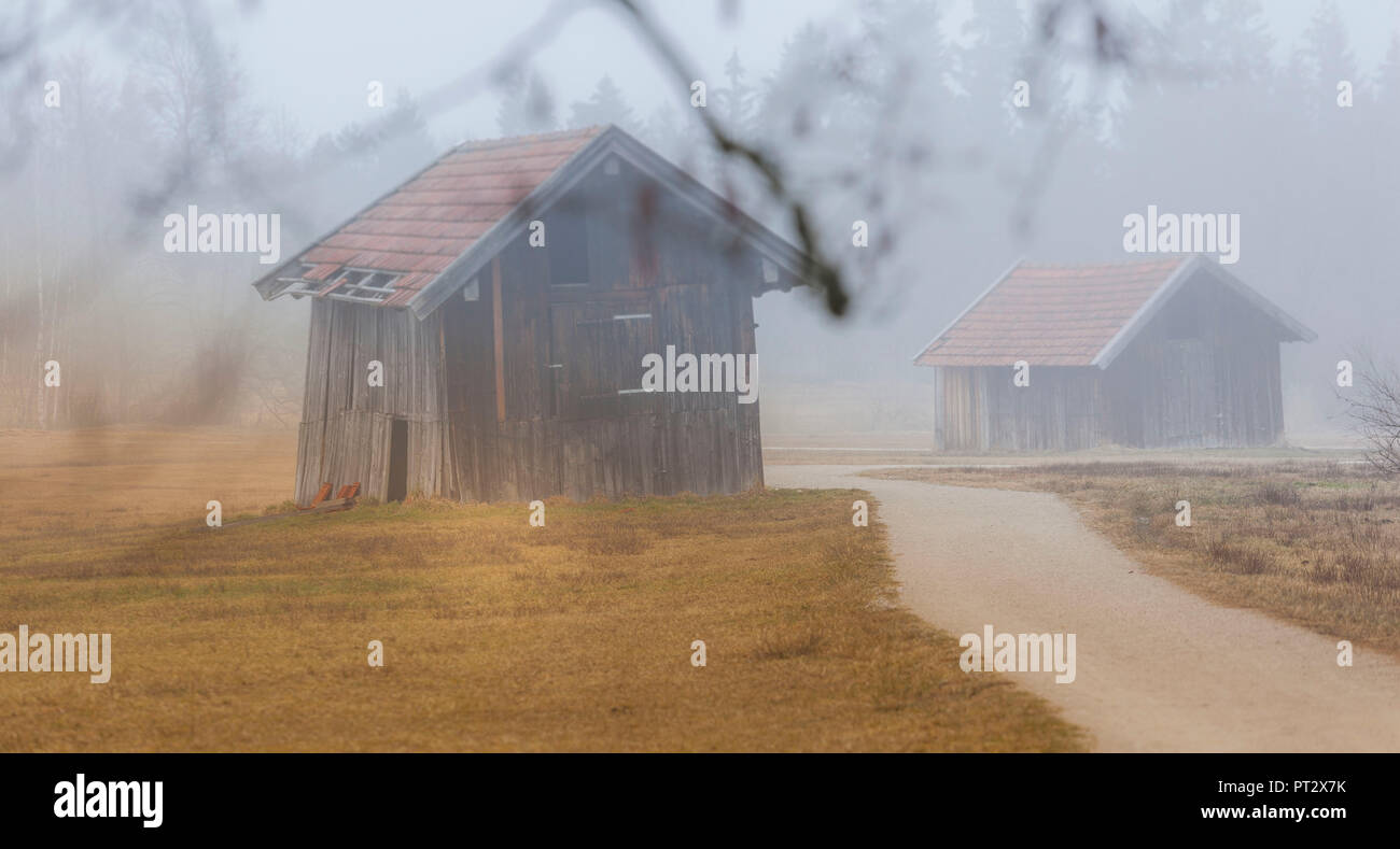 Dilapidated hut hi-res stock photography and images - Alamy
