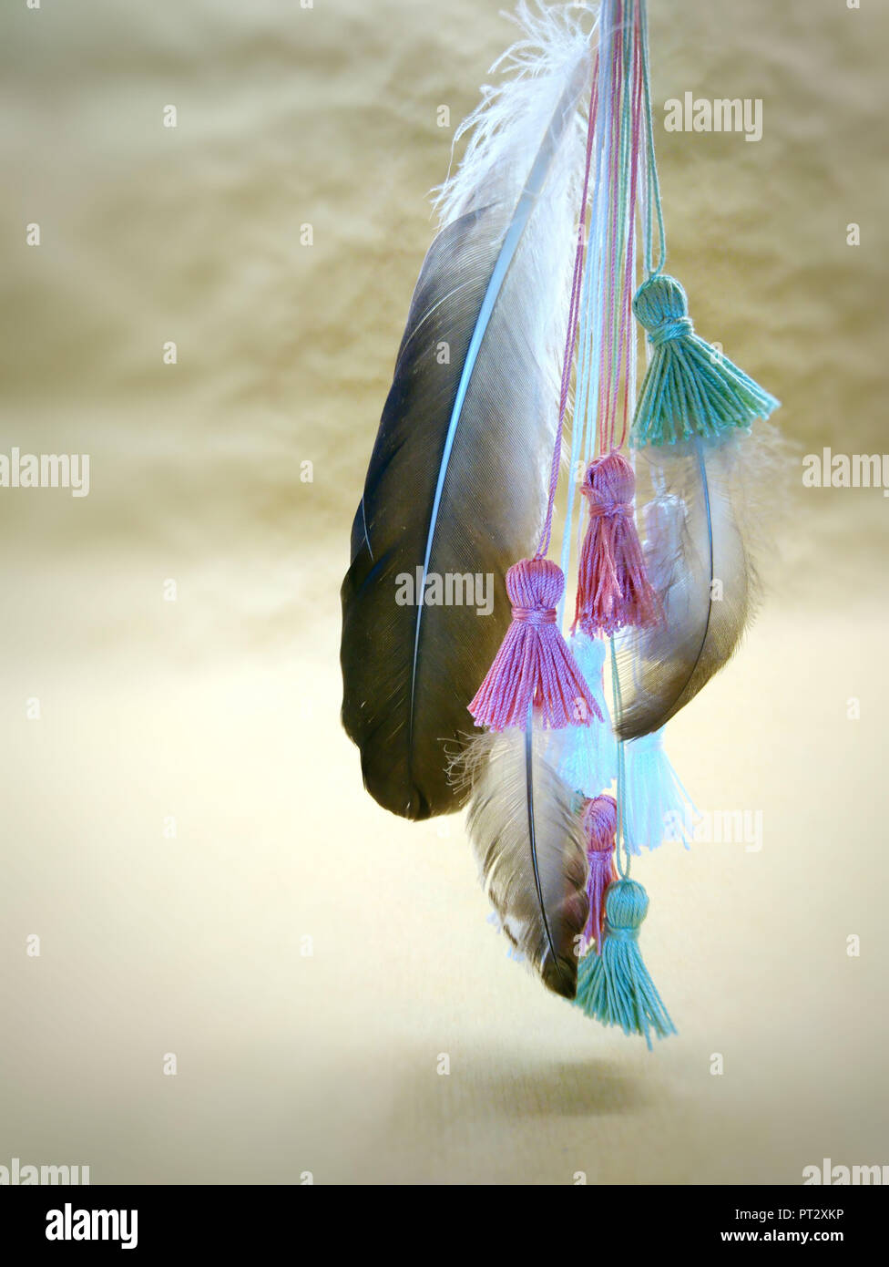 Feather tassels hi-res stock photography and images - Alamy