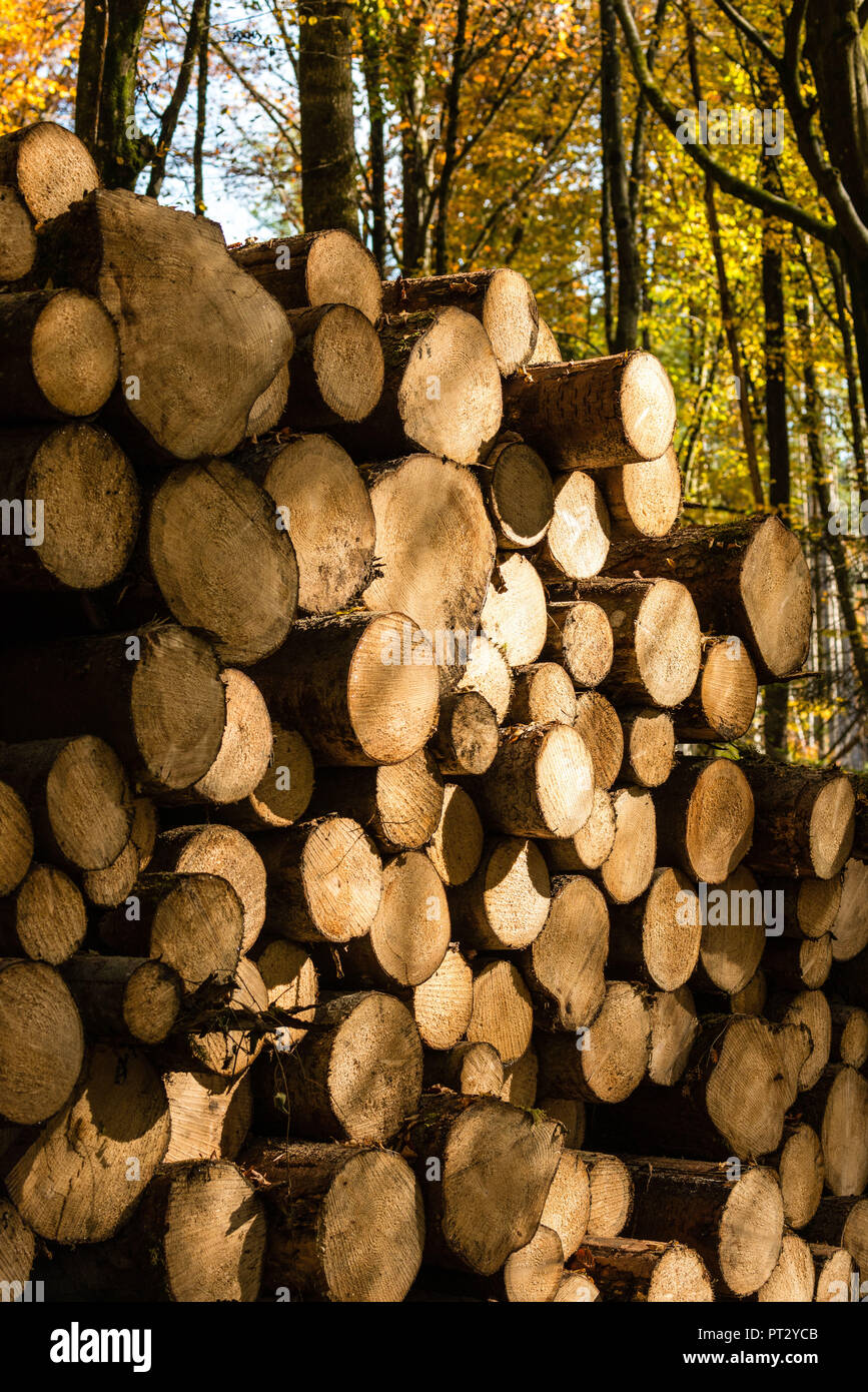 Felled tree trunks hi-res stock photography and images - Alamy