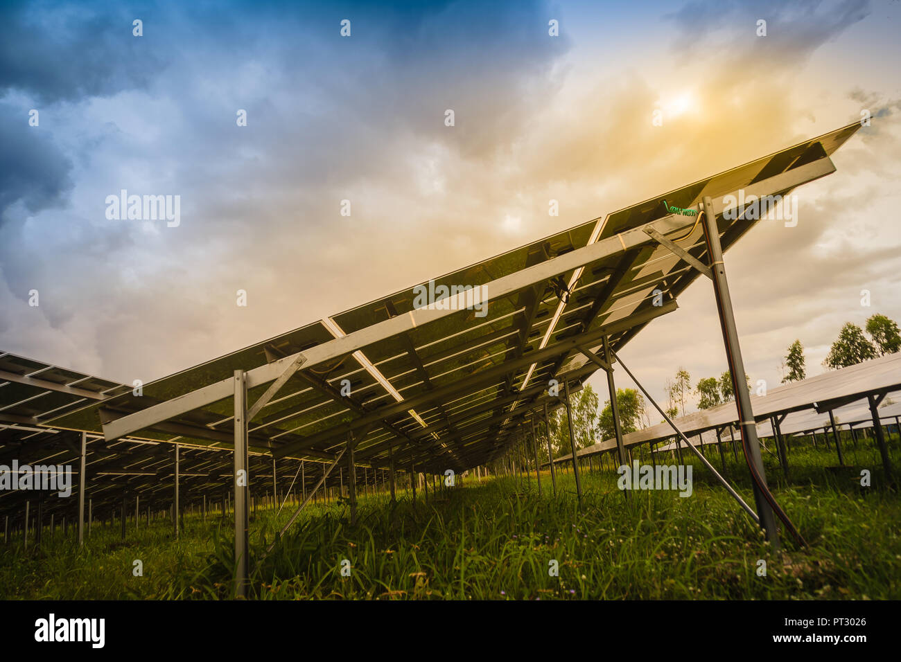 Large scale solar farm, mega photovoltaic power plant in green grass ...