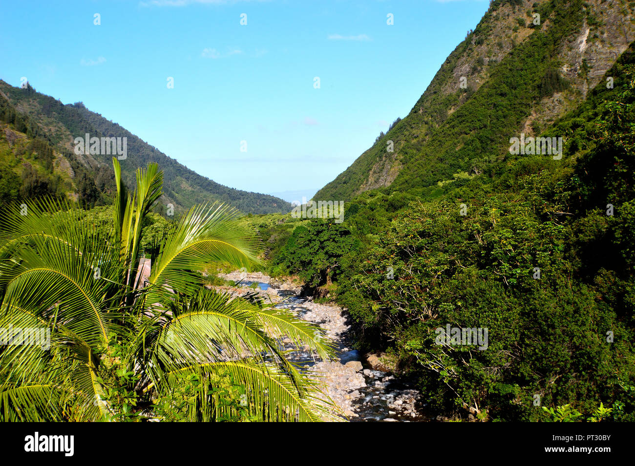 Tropical Valley View Stock Photo - Alamy