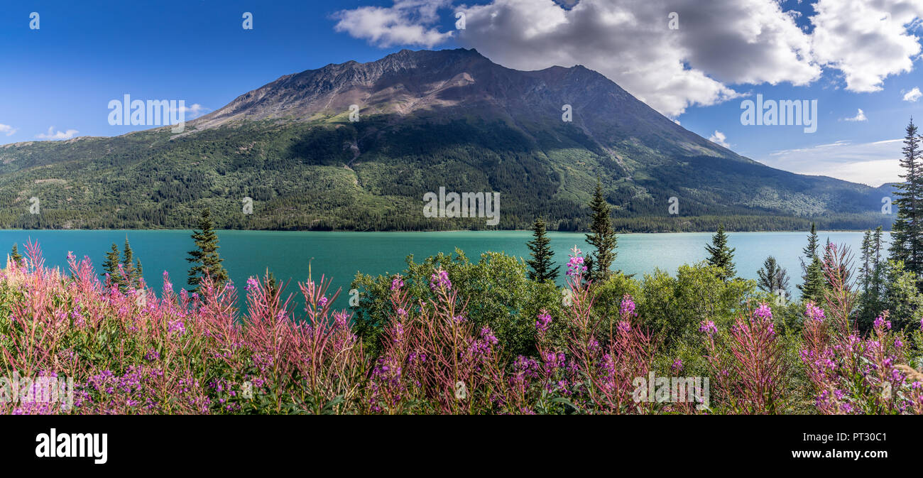 Tagish Lake High Resolution Stock Photography and Images - Alamy
