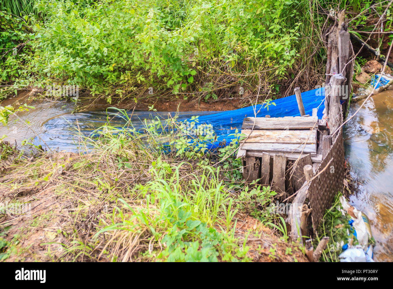Native Thai fish trap made from weaved bamboo with blue nylon net is ...