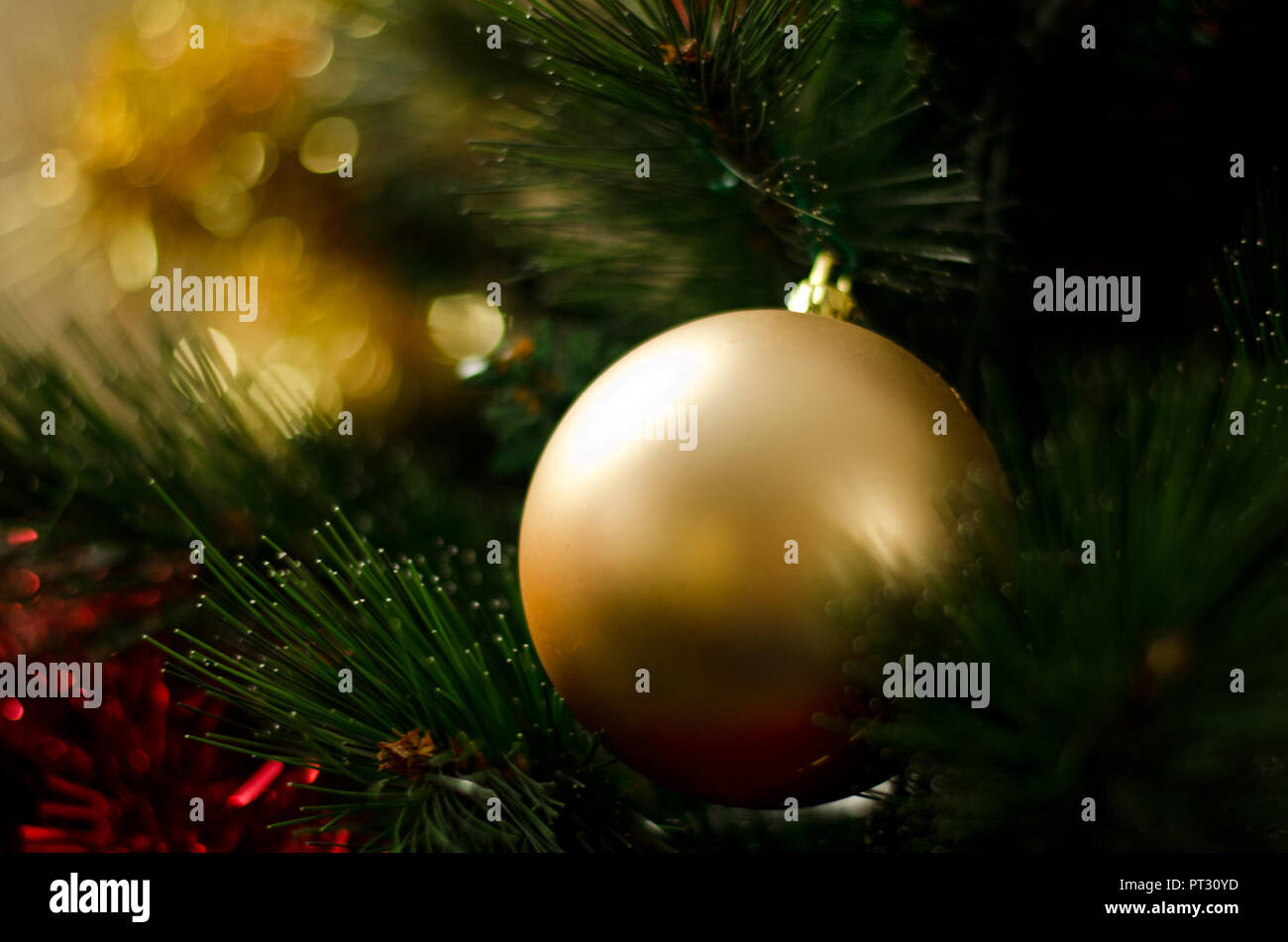 yellow Christmas ball in the middle of the green Christmas tree ...