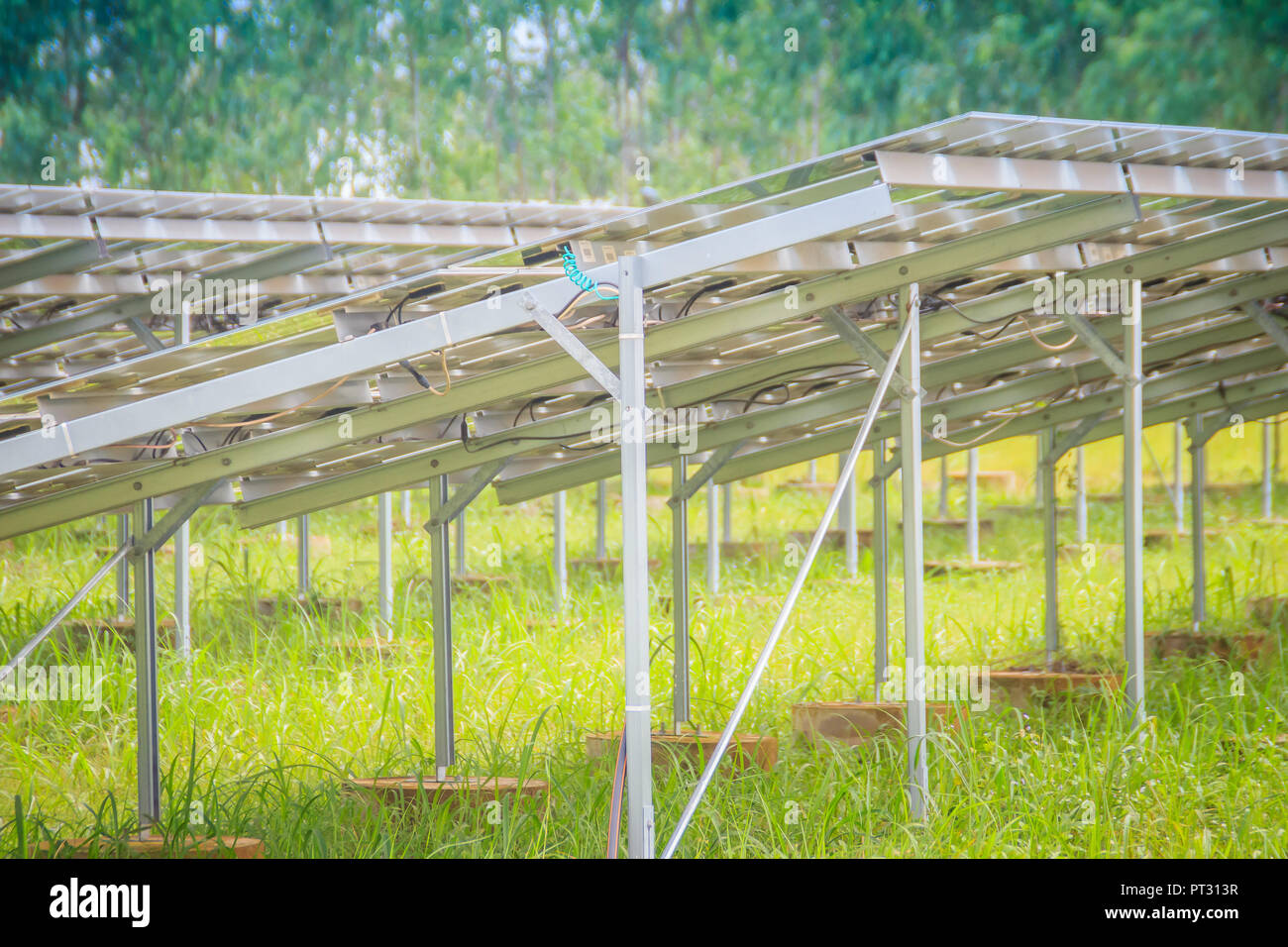 Large scale solar farm, mega photovoltaic power plant in green grass ...