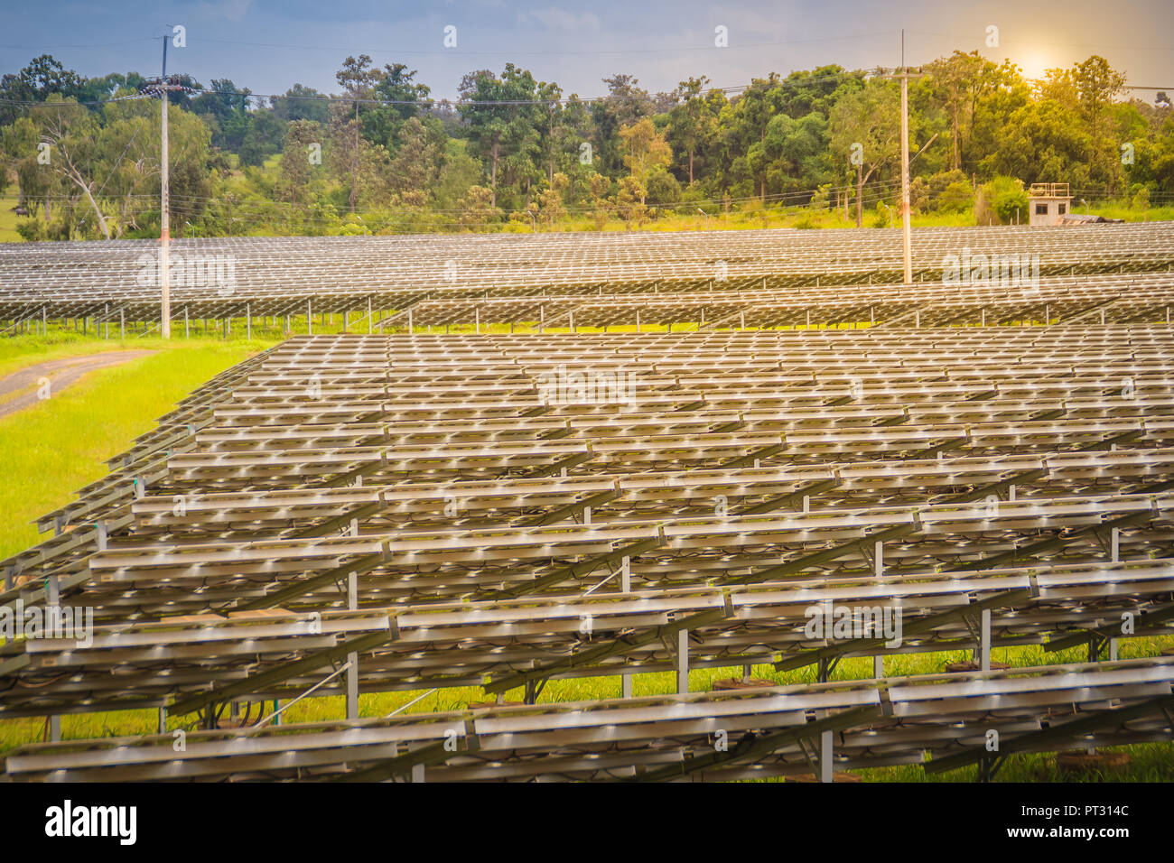 Large scale solar farm, mega photovoltaic power plant in green grass ...