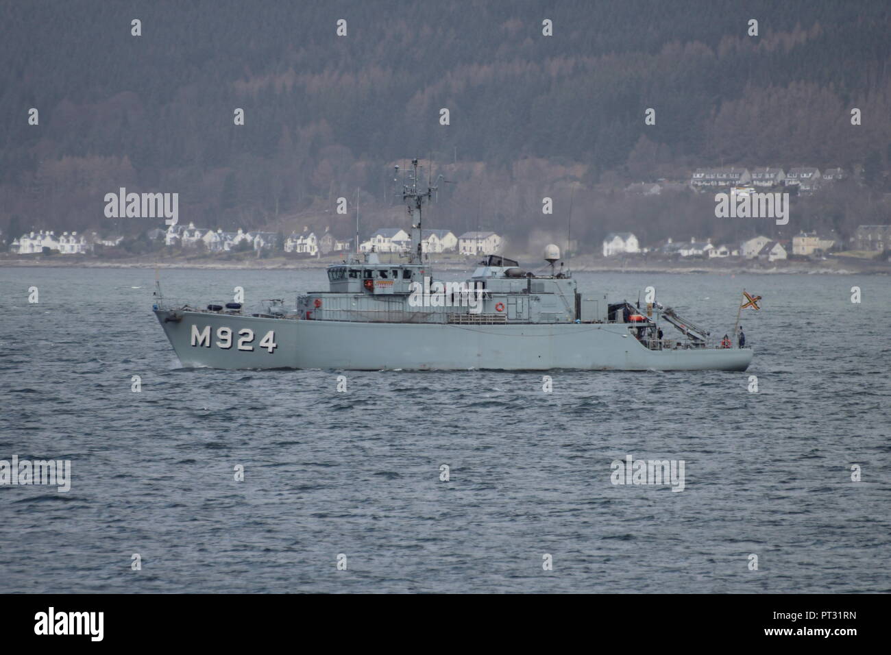 Bns primula m924 flower class tripartite hi-res stock photography and ...